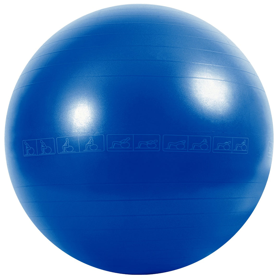 Gym Balls – Fitness Depot